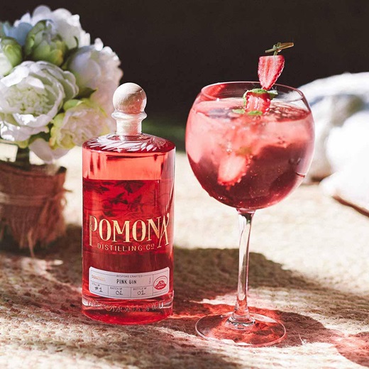 orange beefeater gin